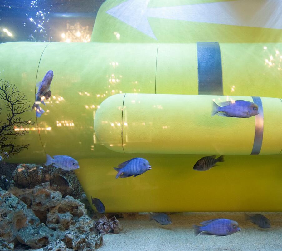 Yellow Submarine | Timothy Oulton Studio - Timothy Oulton